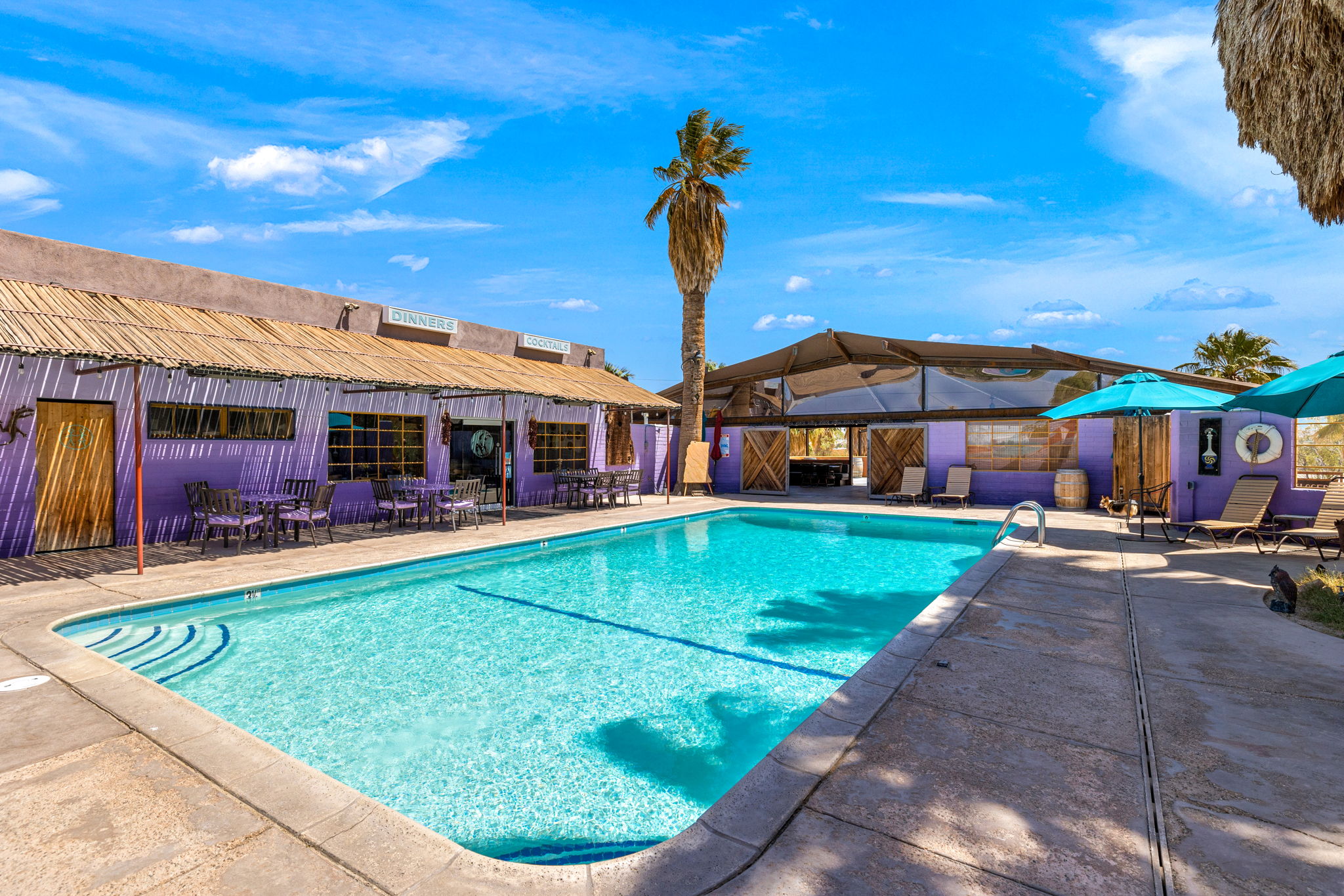 Take a Dip - 29 Palms Inn