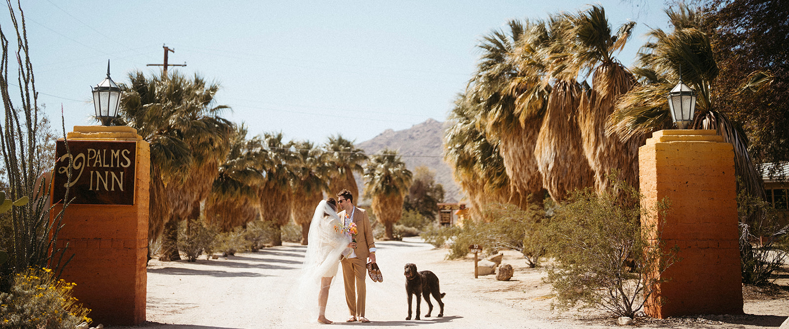 Past Events - 29 Palms Inn